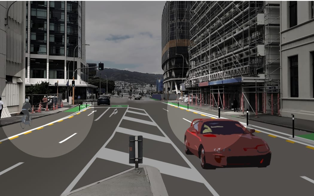 Division over plans for cycleway in Wellington Botanic Gardens | RNZ News