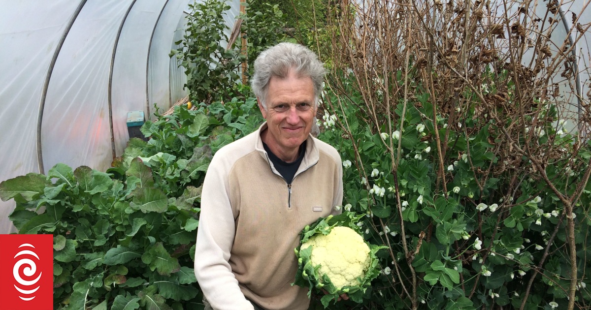 Adam Alexander: seed detective | RNZ