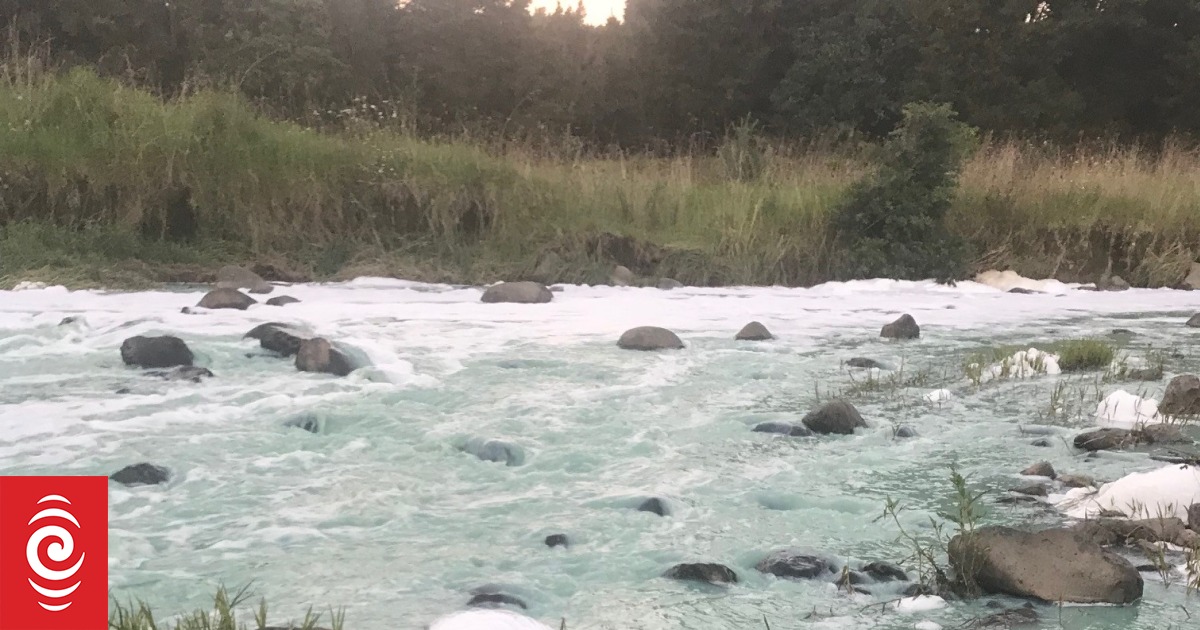 Tests find no toxins in Lake Ōmāpere, Utakura River | RNZ News