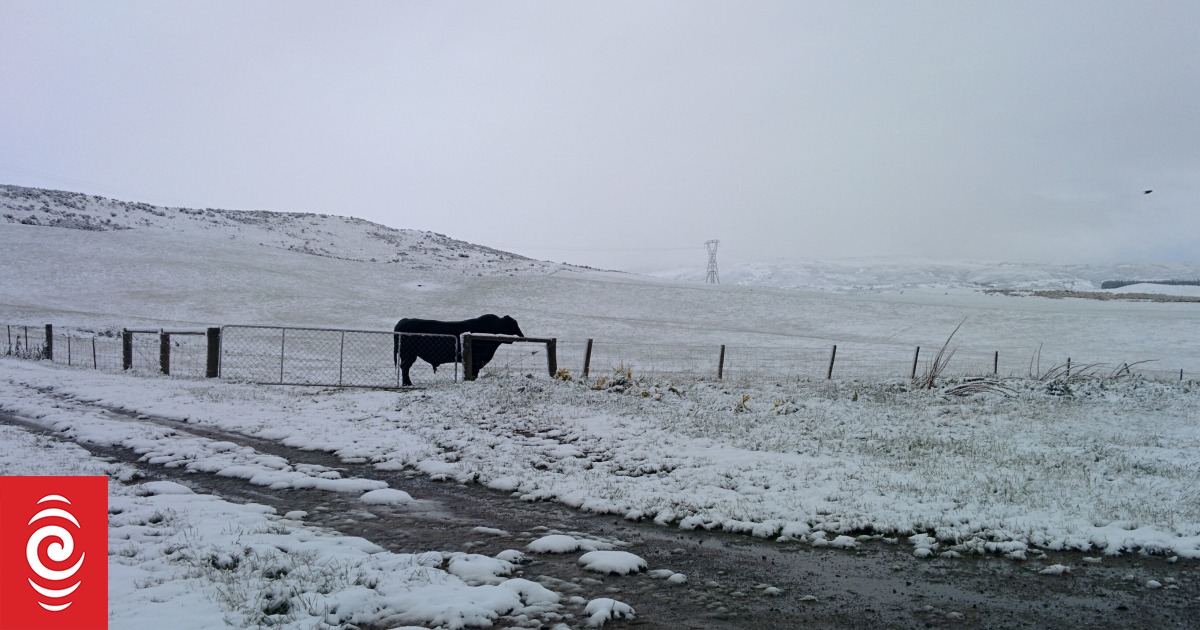 Wild weather closes roads in south | RNZ