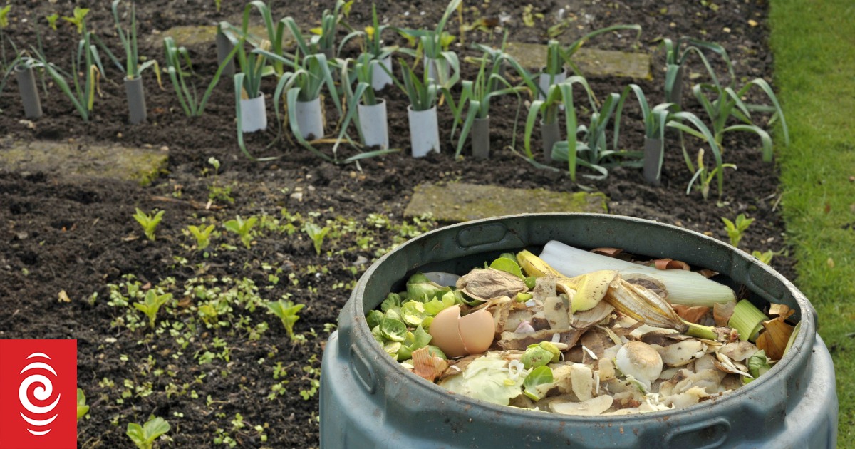 How to compost well | RNZ