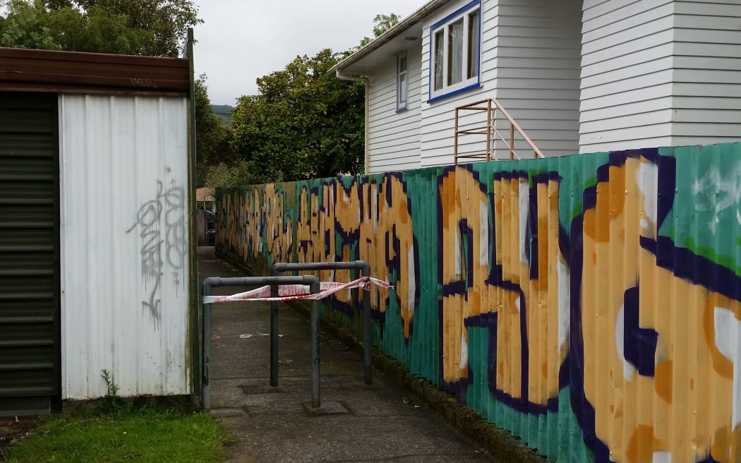 At least 2 weapons in Upper Hutt axe attack | RNZ News