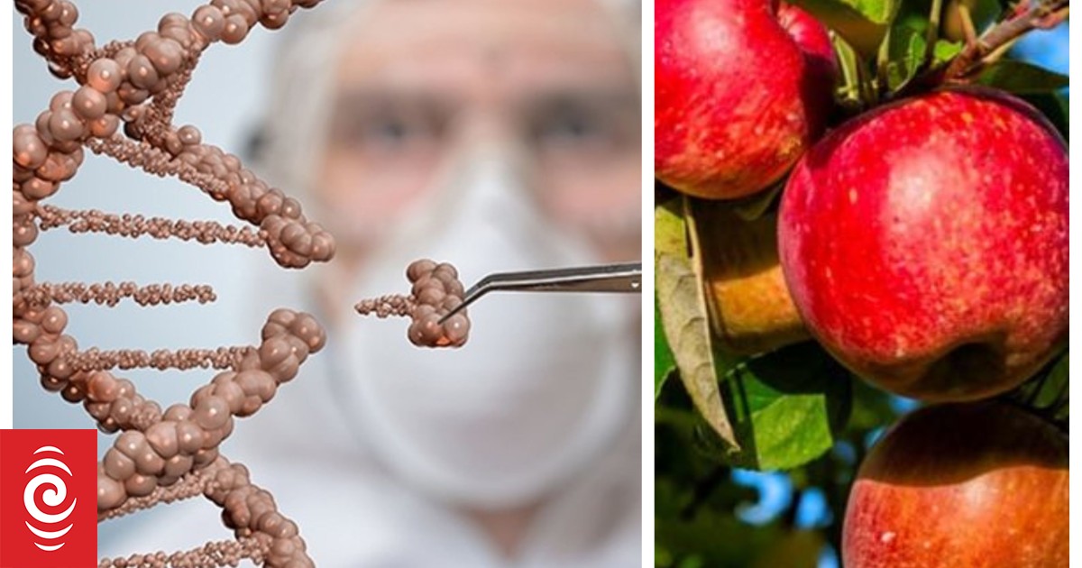Gene editing: risks and opportunities | RNZ