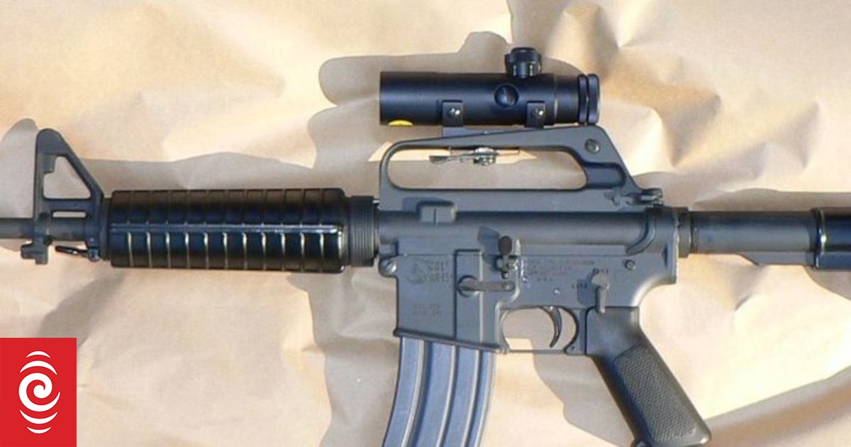 Semi-automatics good for NZ - gun owners | RNZ