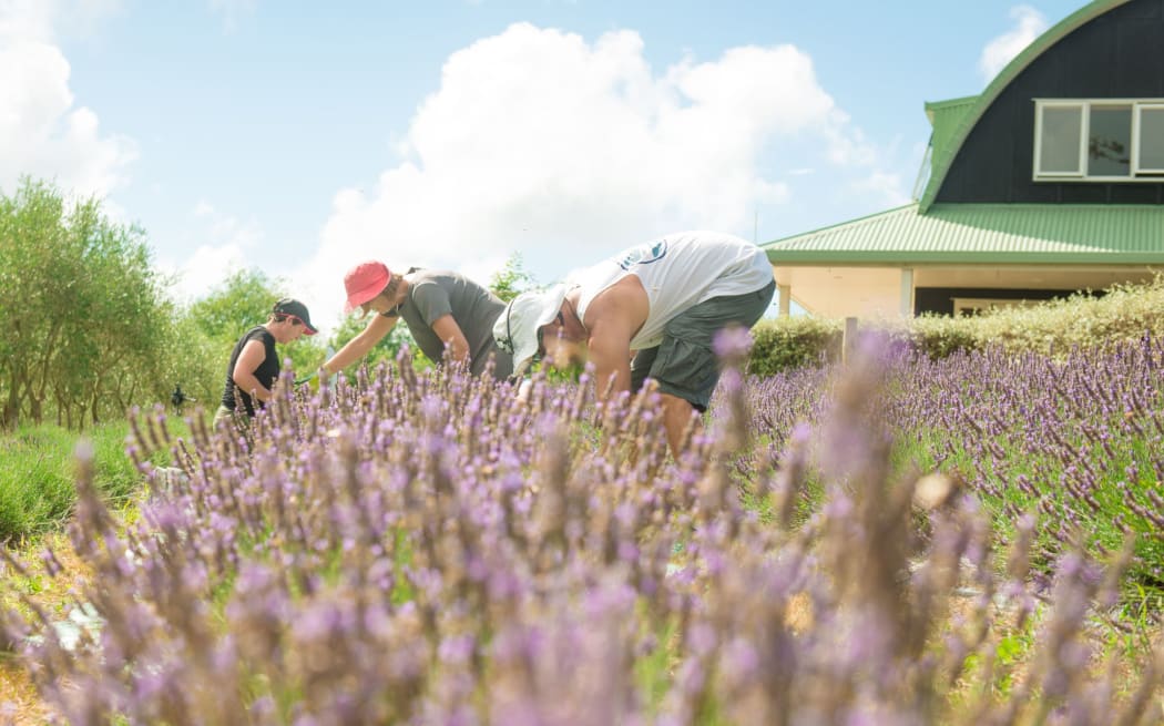Full Episode for Friday February 9, 2018 | RNZ