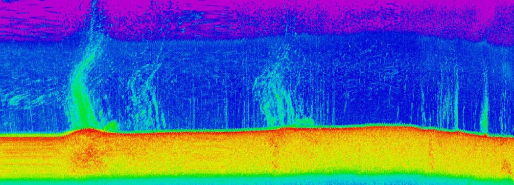 Exploring Seabed Methane Seeps | RNZ