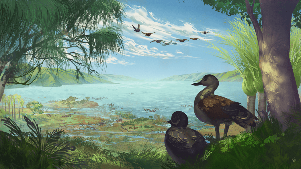 New giant duck discovered in St Bathans in Otago | RNZ News